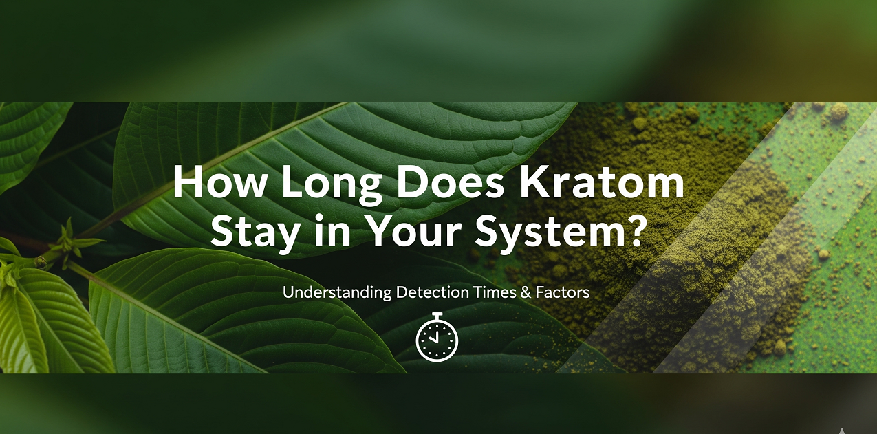 How Long Does Kratom Stay in Your System? A Complete Guide